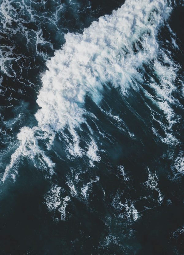 La Pollution des Océans : Définition, Causes et Solutions | Floralia Nature