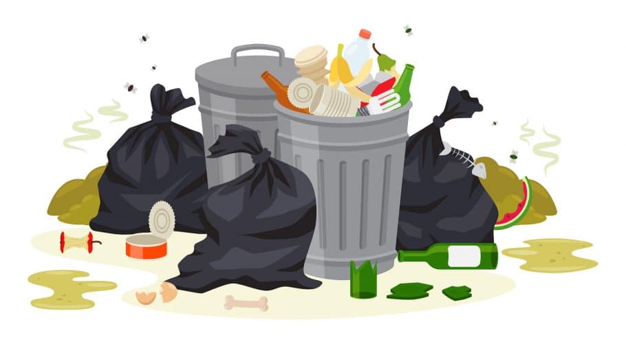 Comment sont gérés nos déchets ? | Conservation Nature