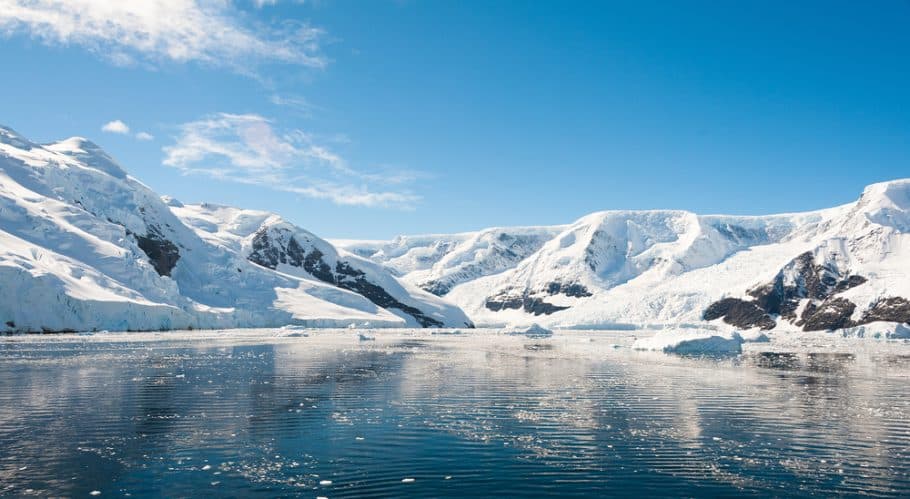 La banquise, terres glacées du bout du monde - Conservation Nature