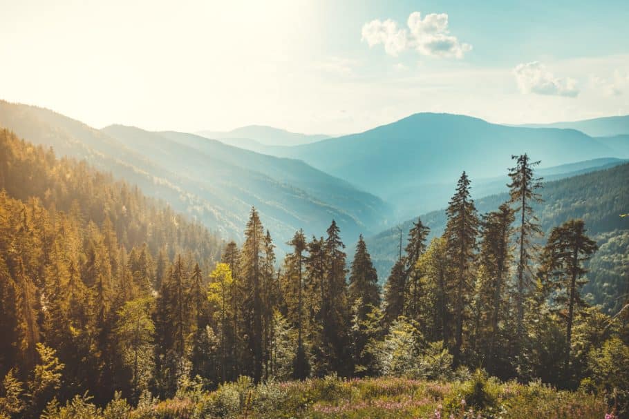 La montagne : un écosystème entre prairies et hauts reliefs ...