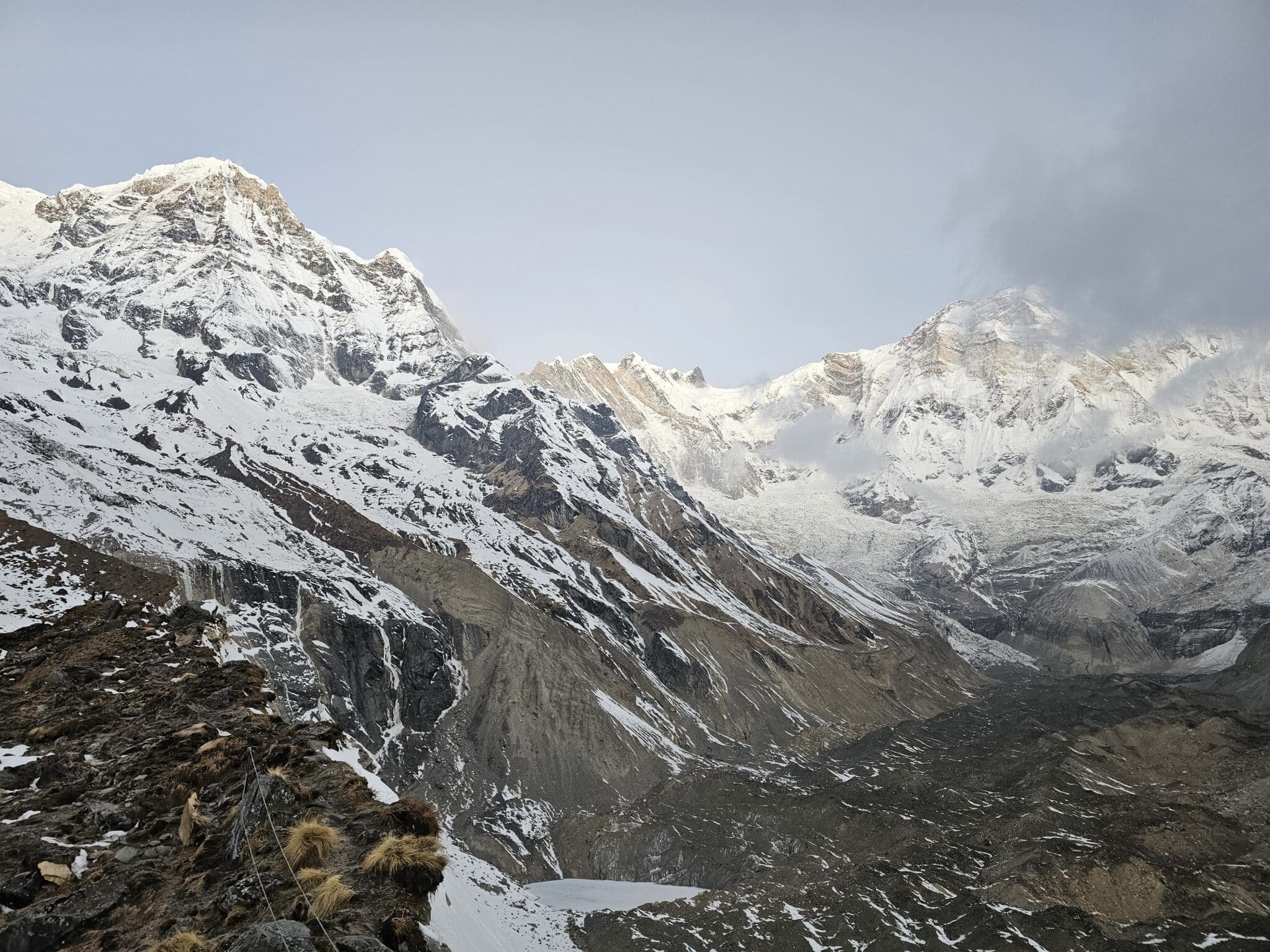 L'Himalaya : biodiversité, menaces, et conservation - Conservation Nature