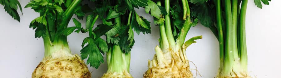 Apios - Entretien, Plantation et Culture | Conservation Nature