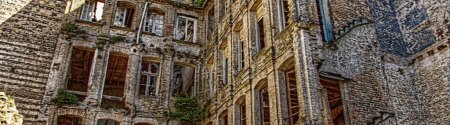 Batis - Entretien, Plantation et Culture | Conservation Nature