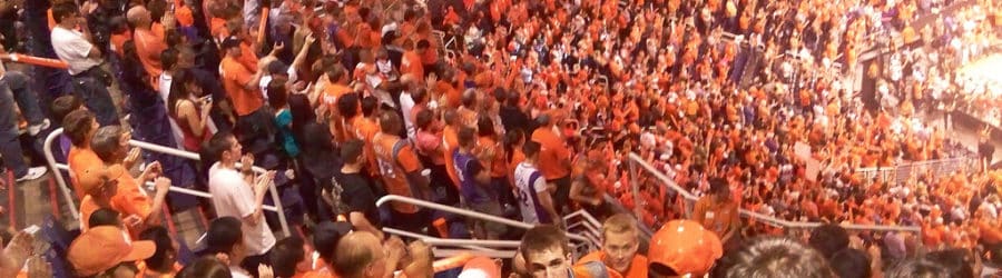 Dattier (Phoenix) - Entretien, Plantation et Culture | Conservation Nature