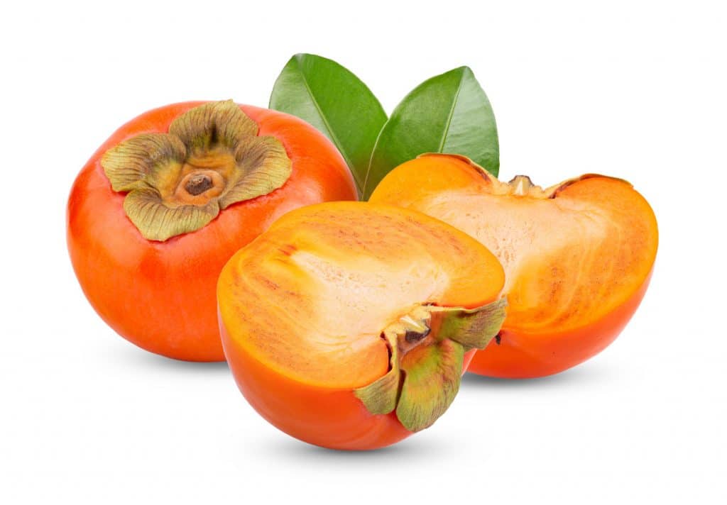 Kaki - Conservation Nature